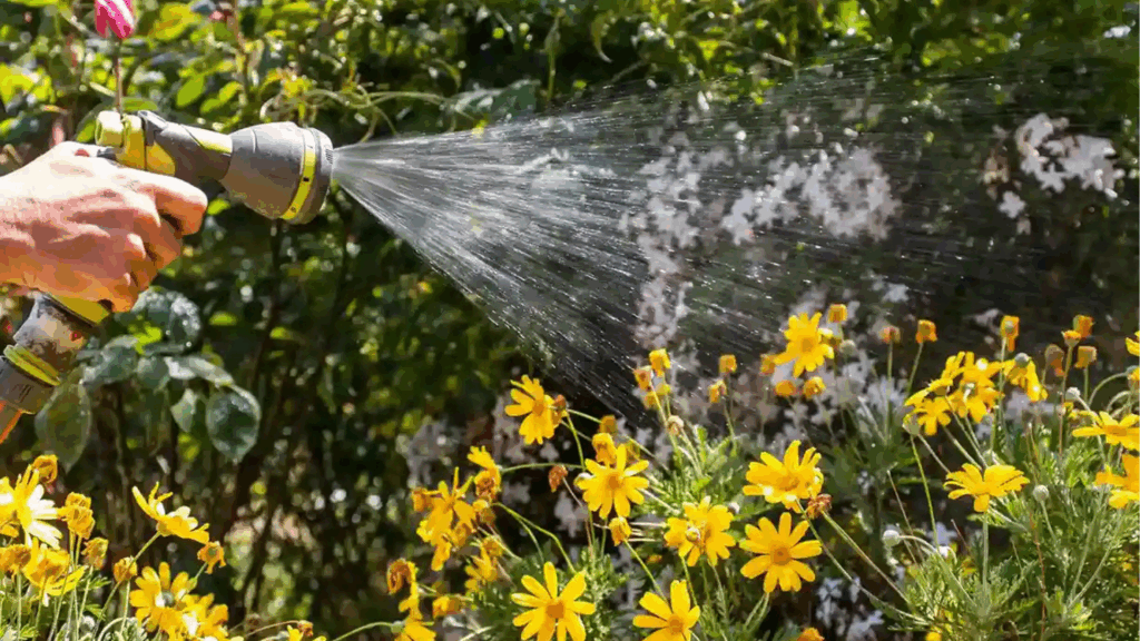 Die fünf häufigsten Gießfehler und wie du sie vermeidest - Beste ...